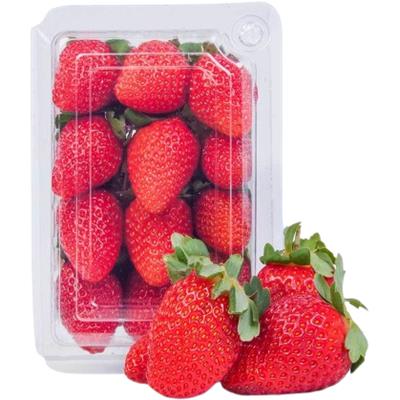 MORANGO 250G - Belíssima Casa di Frutas